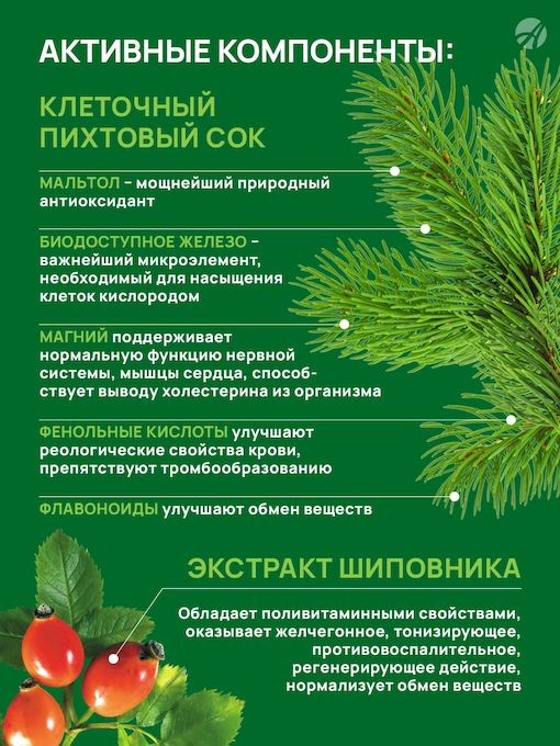 Арт Лайф - Взвар Абитель 250 мл - Общеукрепляющий адаптогенный комплекс ...