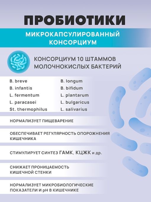 Арт Лайф - Панбиолакт Ментал 60 капс. - Психобиотик для коррекции ...