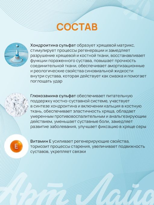 Арт Лайф - Хондро Формула с MSM 500 мл - Профилактика и терапия ...
